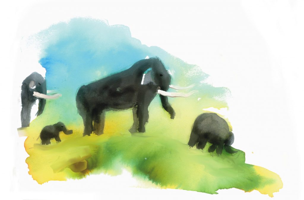 5 Minutes with Indian Author and Illustrator Ashok Rajagopalan - GetLitt!